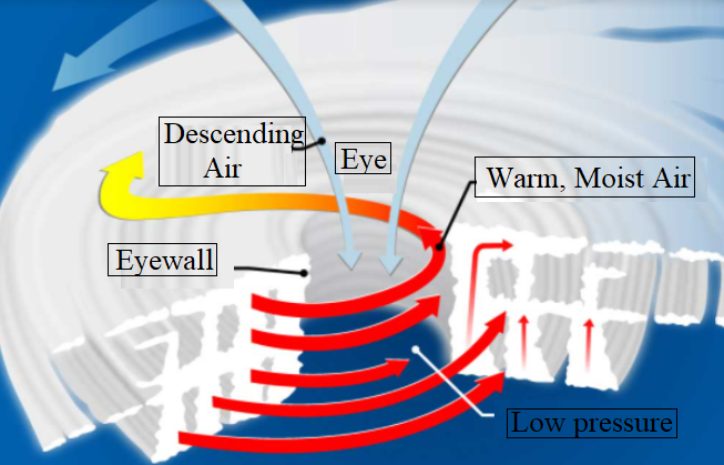 Draw a welllabelled diagram explaining the formation of a cyclone