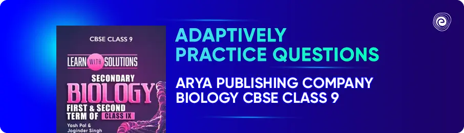 Draw a flowchart showing the classification of the plant kingdom