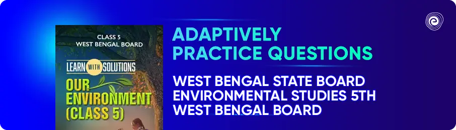 Imagine that somehow many big trees get buried under the soil What will ...